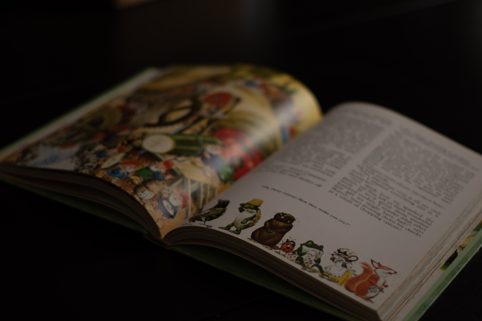 Tales from Woodland - Learn, Tinker, Build